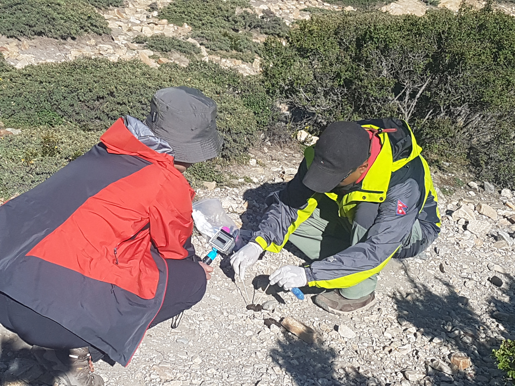 Fecal Sample | From the Field Podcast